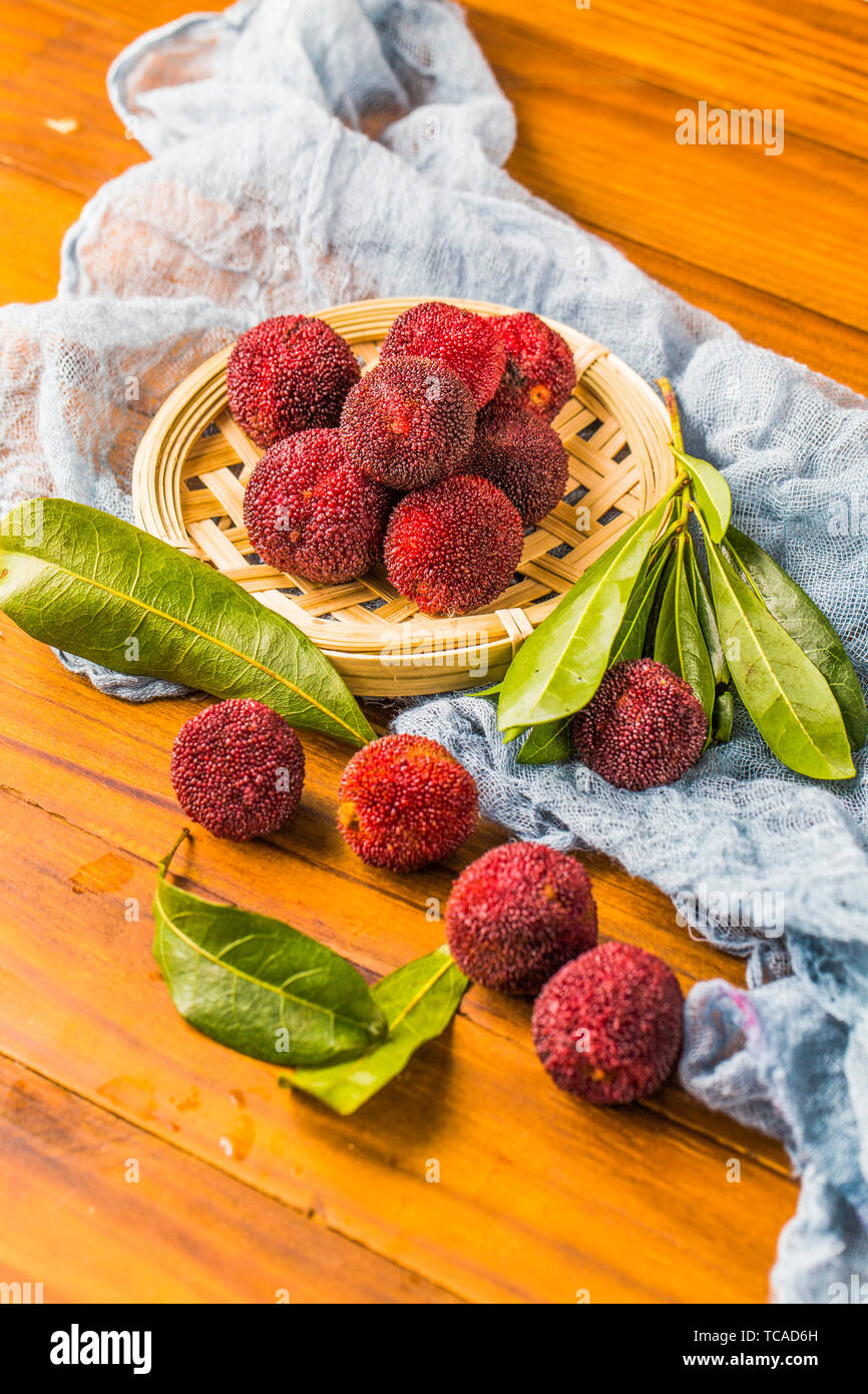 Bayberry tree hi-res stock photography and images - Alamy