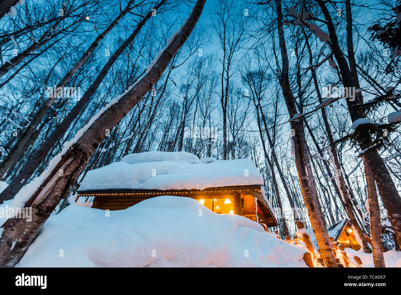 Hokkaido in winter is as pure as a fairy tale, and the forest elf ...