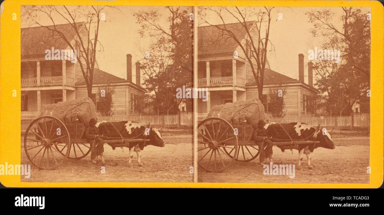 Cotton wagon hi-res stock photography and images - Alamy