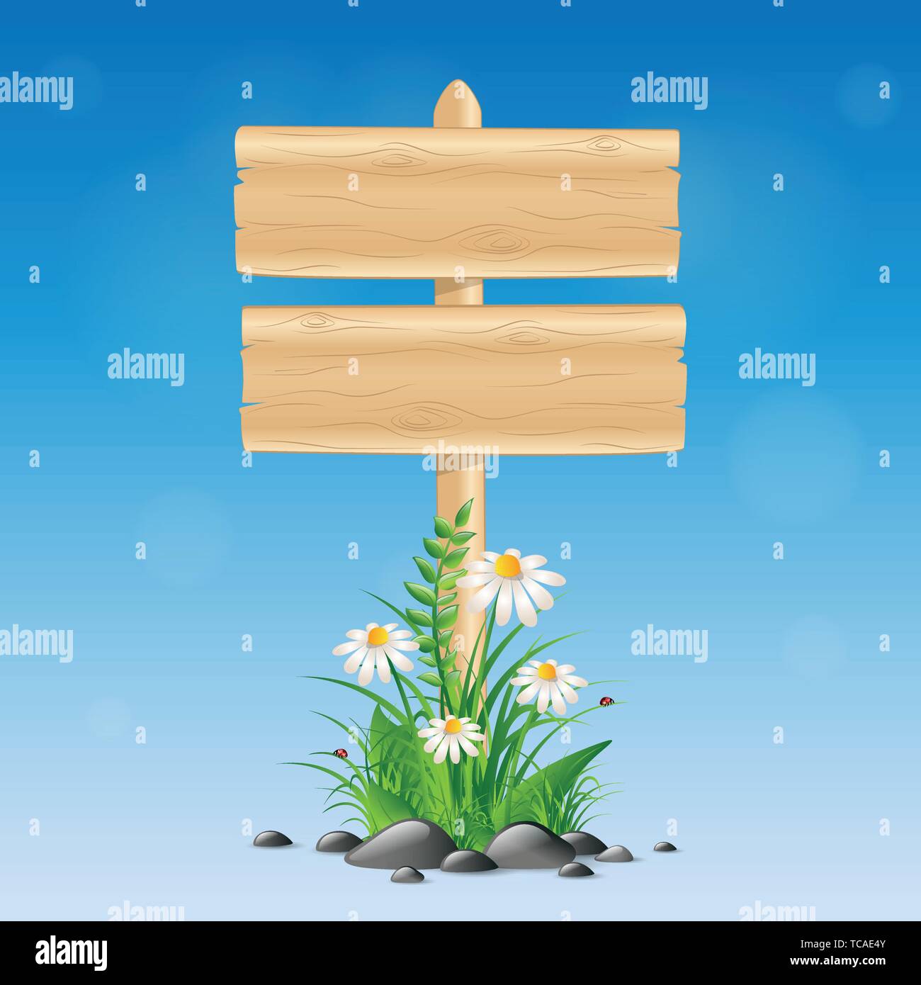 blank wooden sign board with daisy flower and grass on blue background ...