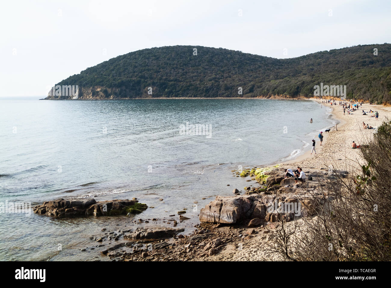 Cala violina beach hi-res stock photography and images - Alamy