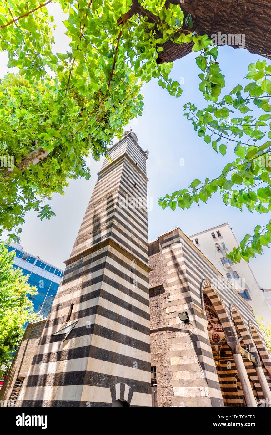 Prophet Mosque High Resolution Stock Photography and Images - Alamy