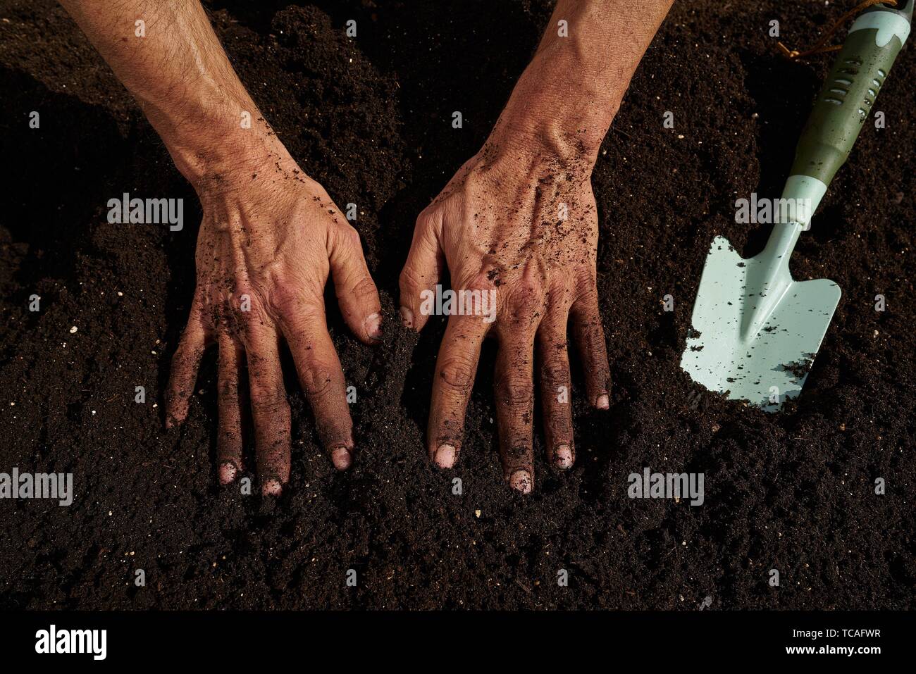 Farmer hands dirty hi-res stock photography and images - Alamy