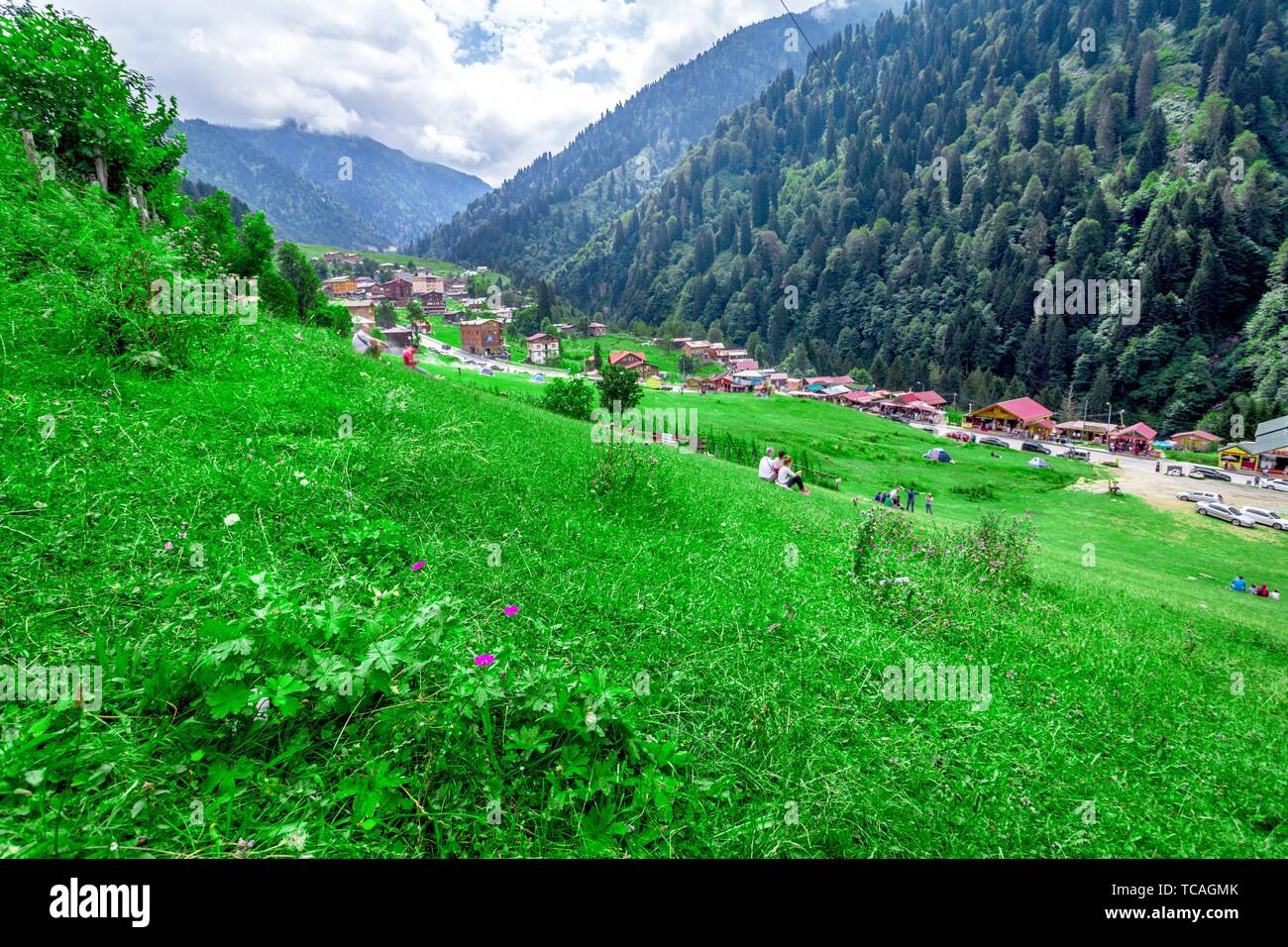 Rize Turkey High Resolution Stock Photography and Images - Alamy