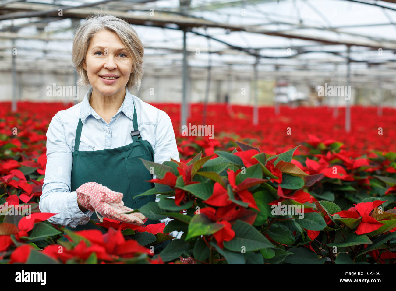 Happy middle-aged female standing in her greenhouse on background with ...