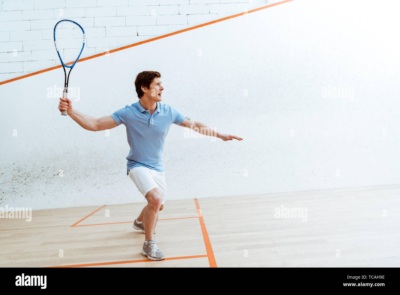Emotional sportsman in blue polo shirt playing squash in four-walled ...