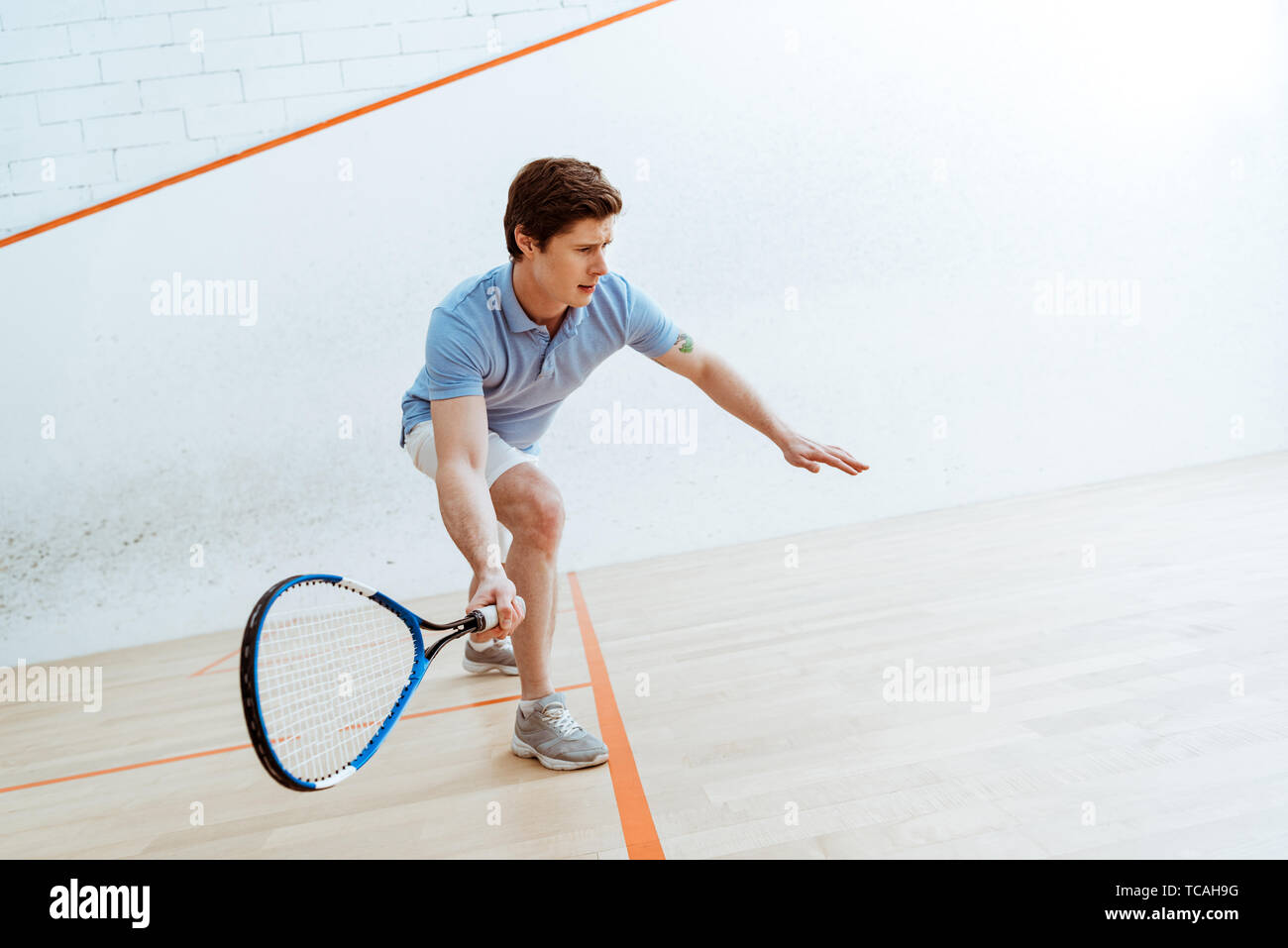 Emotional sportsman in blue polo shirt playing squash in four-walled ...