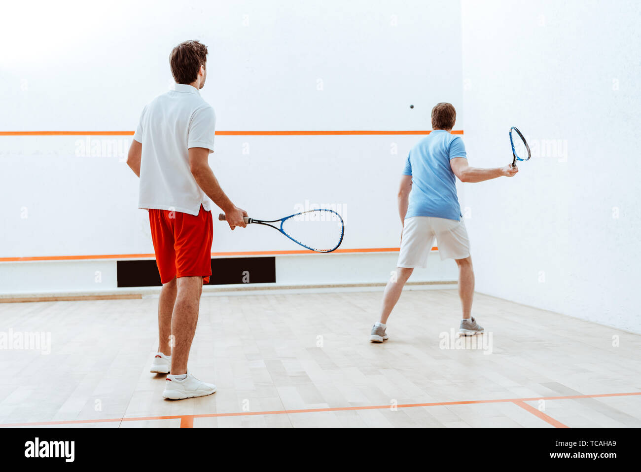 Back view of two sportsmen playing squash in four-walled court Stock ...