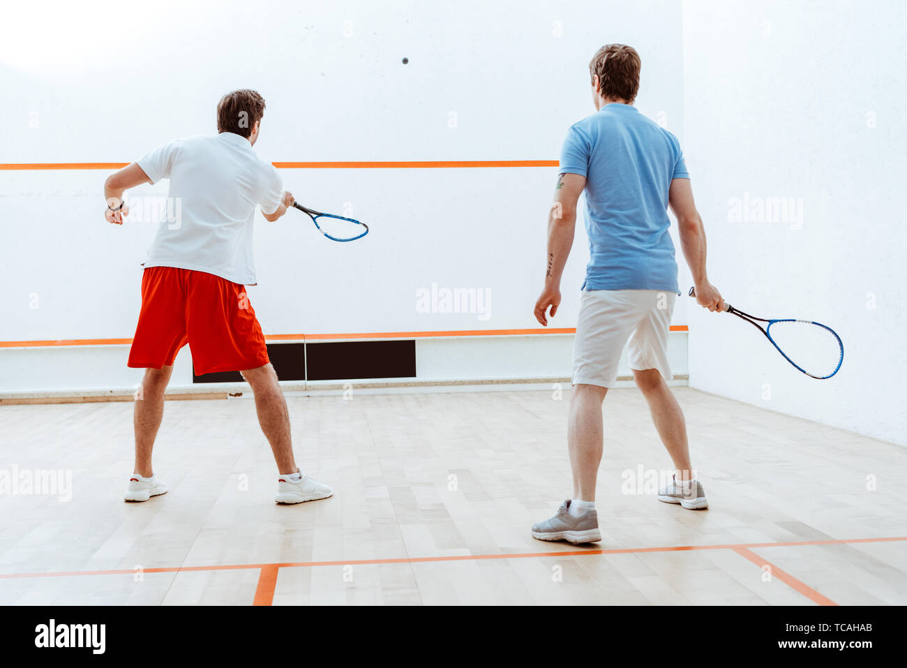Back view of two sportsmen playing squash in four-walled court Stock ...