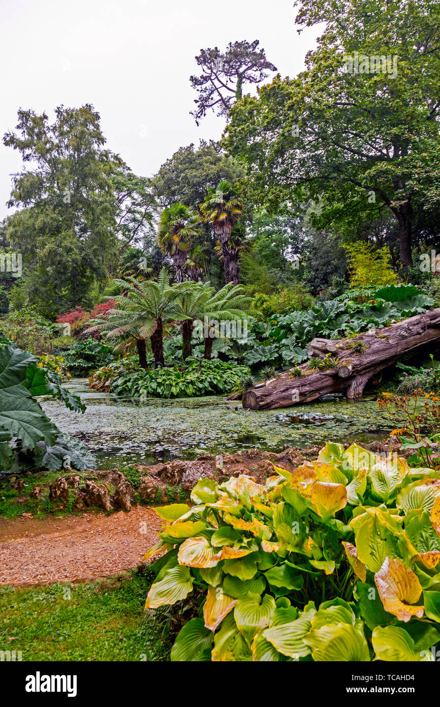 An assortment of spectacular subtropical plants surrounding a lake in ...