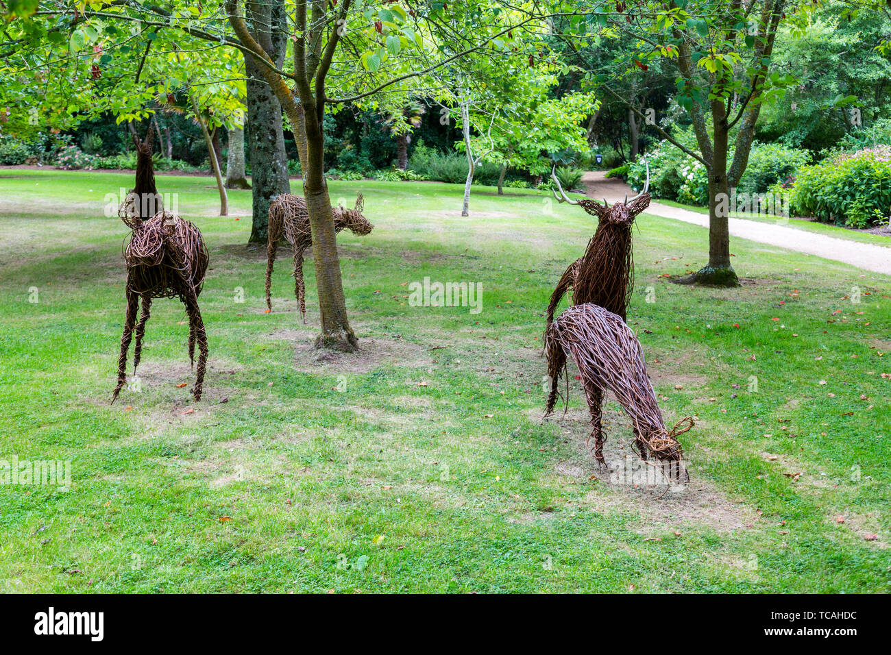 A herd of willow sculpture deer at Abbotsbury Subtropical Gardens ...