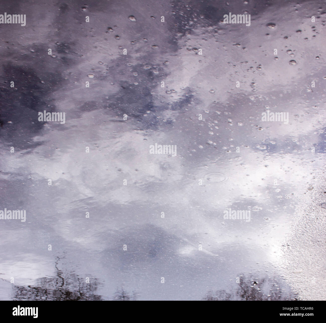 Rain drops rippling in a puddle with buildings, sky and trees ...