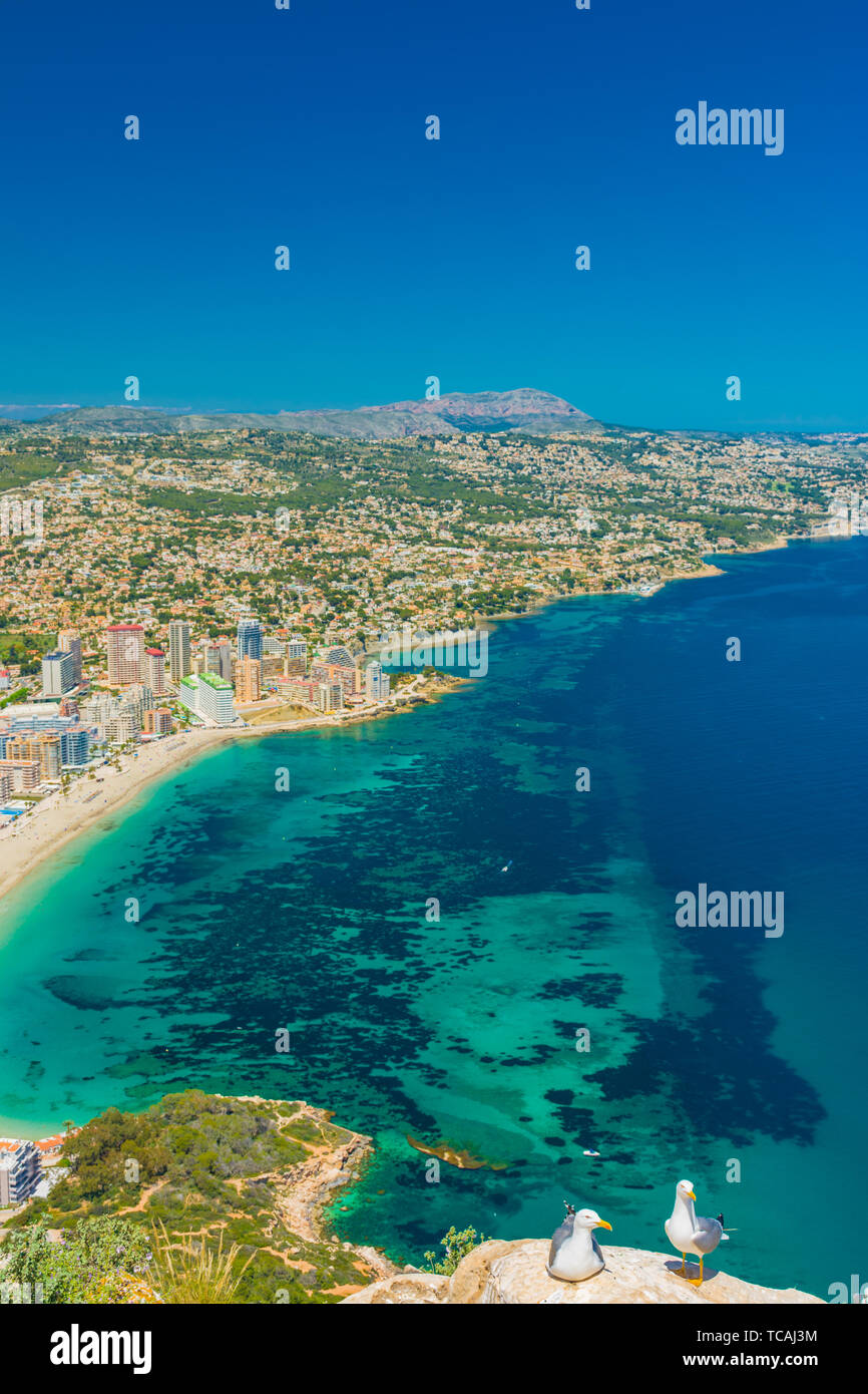 View of the area of apartments and hotels in Calpe, Alicante, Spain ...