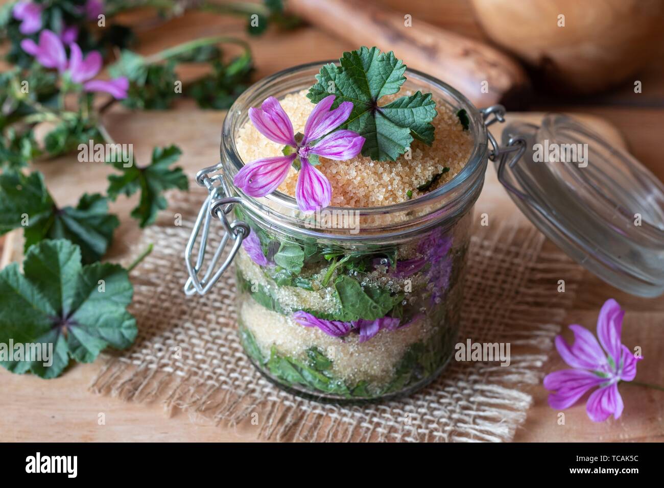Common mallow flowers hi-res stock photography and images - Alamy