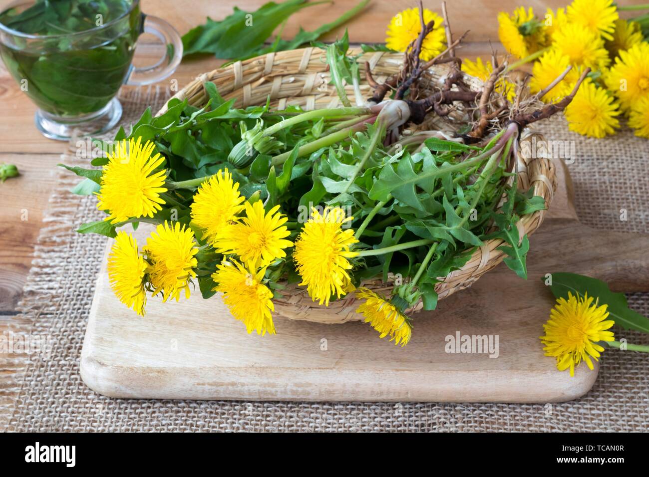 Whole plant with roots hi-res stock photography and images - Alamy