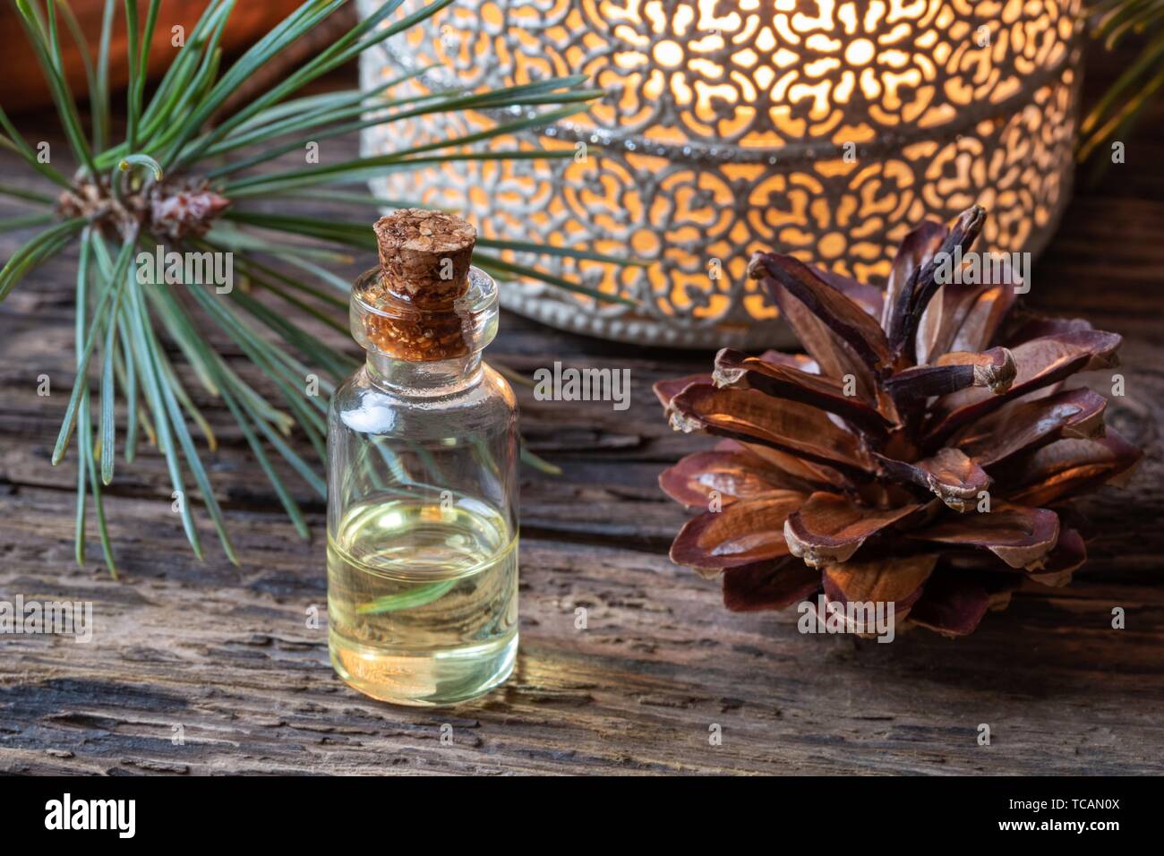 Bottle pine tree hi-res stock photography and images - Alamy