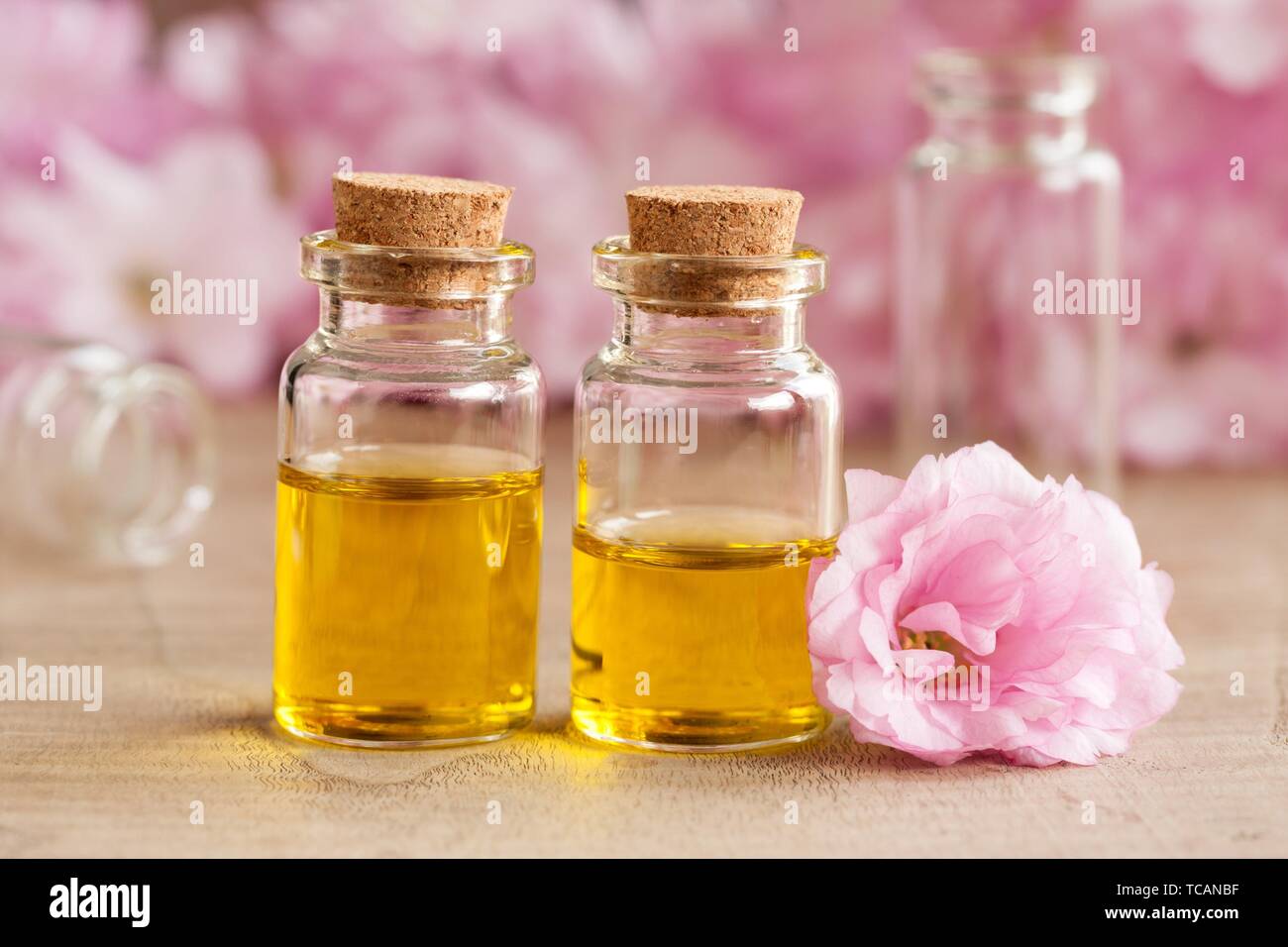 Cherry oil hi-res stock photography and images - Alamy