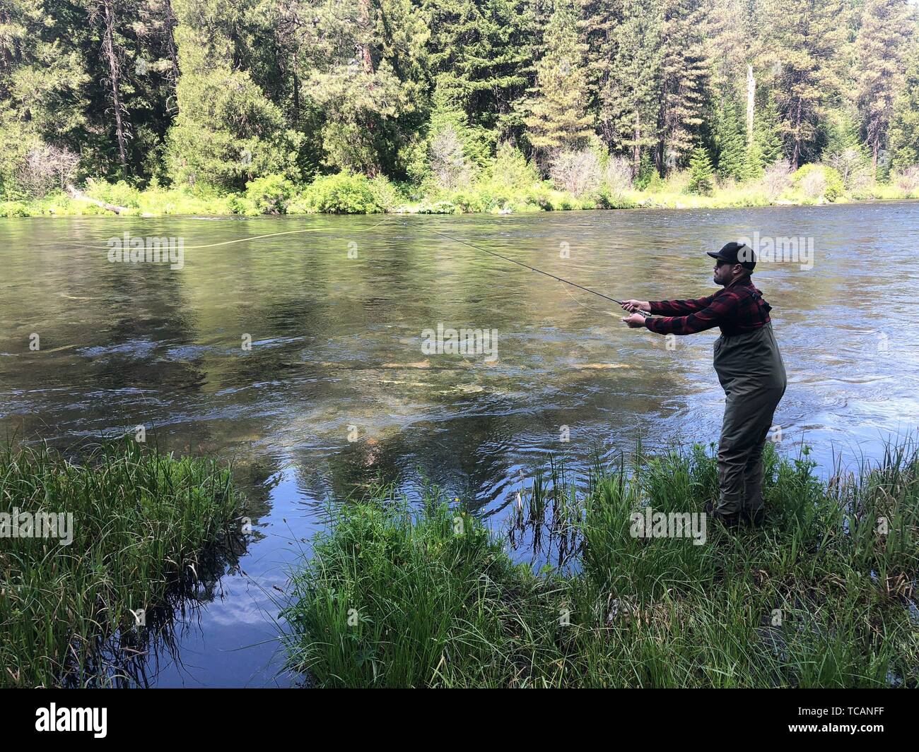 Rising Trout High Resolution Stock Photography and Images - Alamy