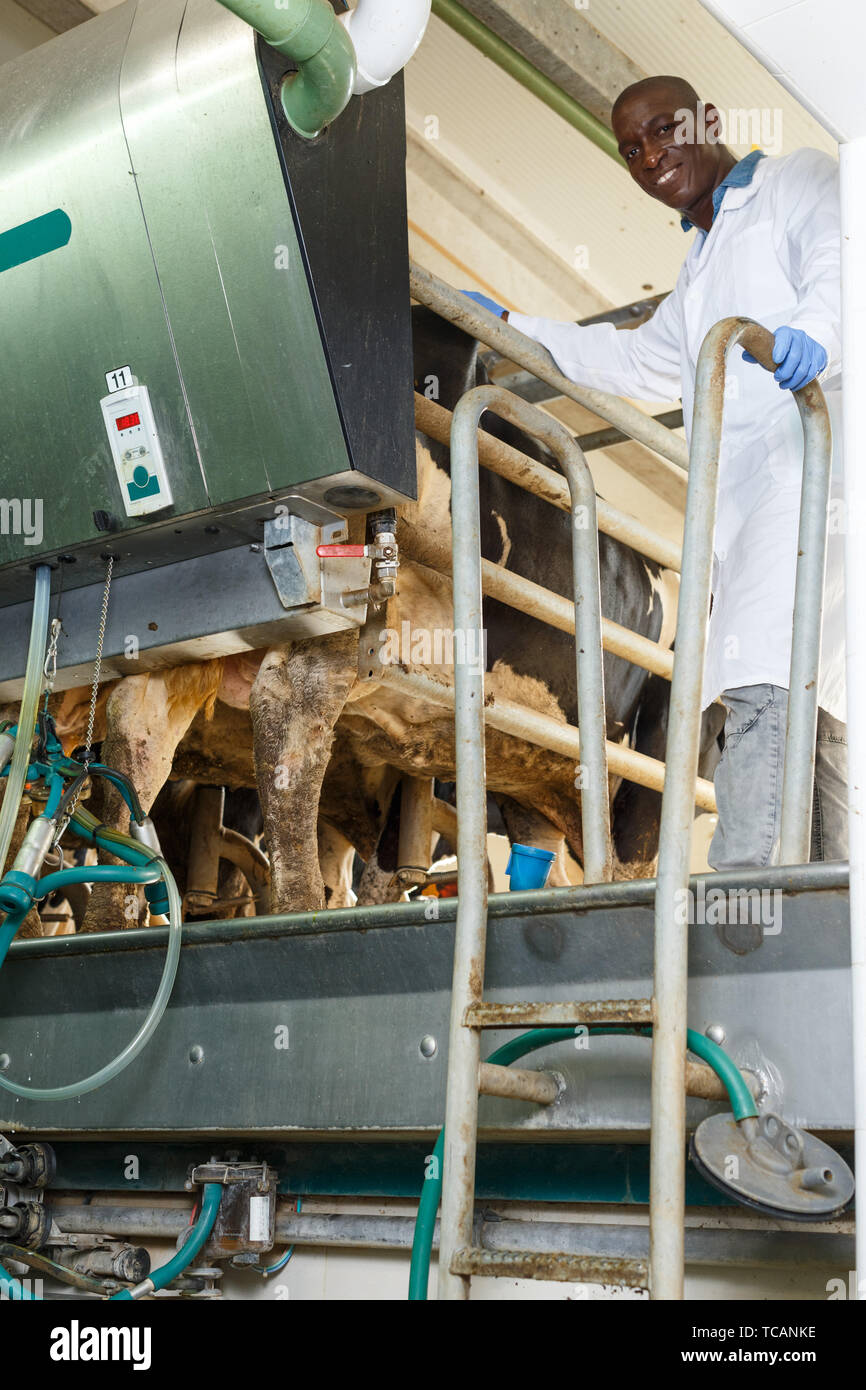 Russian milkmaid hi-res stock photography and images - Alamy