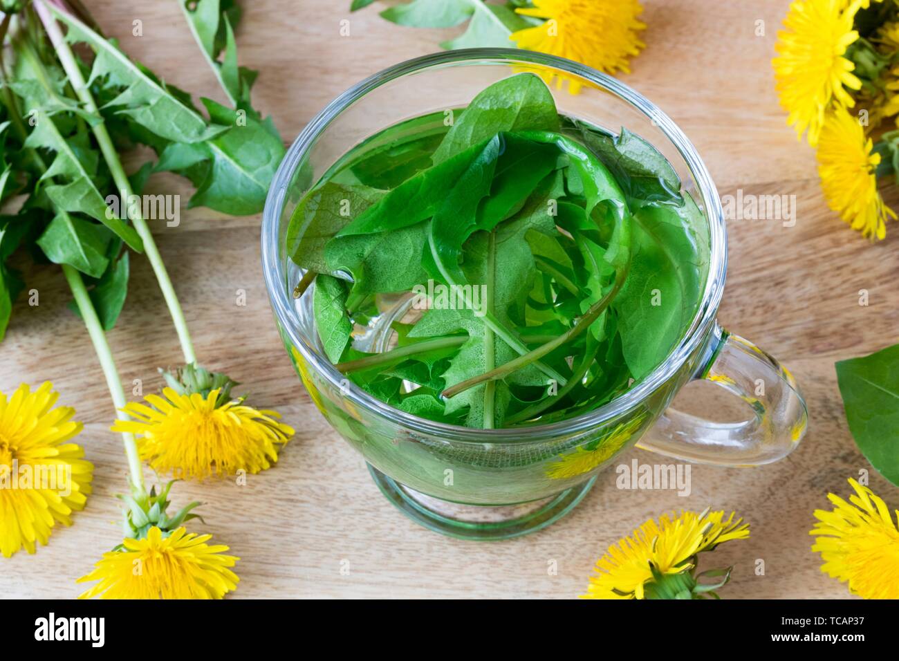 Drinking water from cup hi-res stock photography and images - Alamy