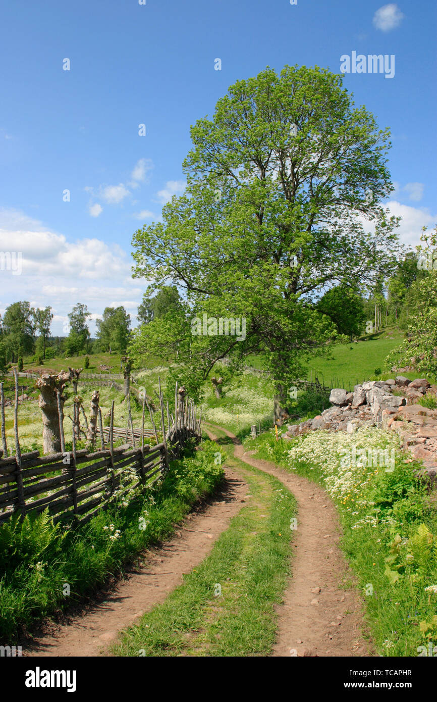 Enclosed farm track hi-res stock photography and images - Alamy