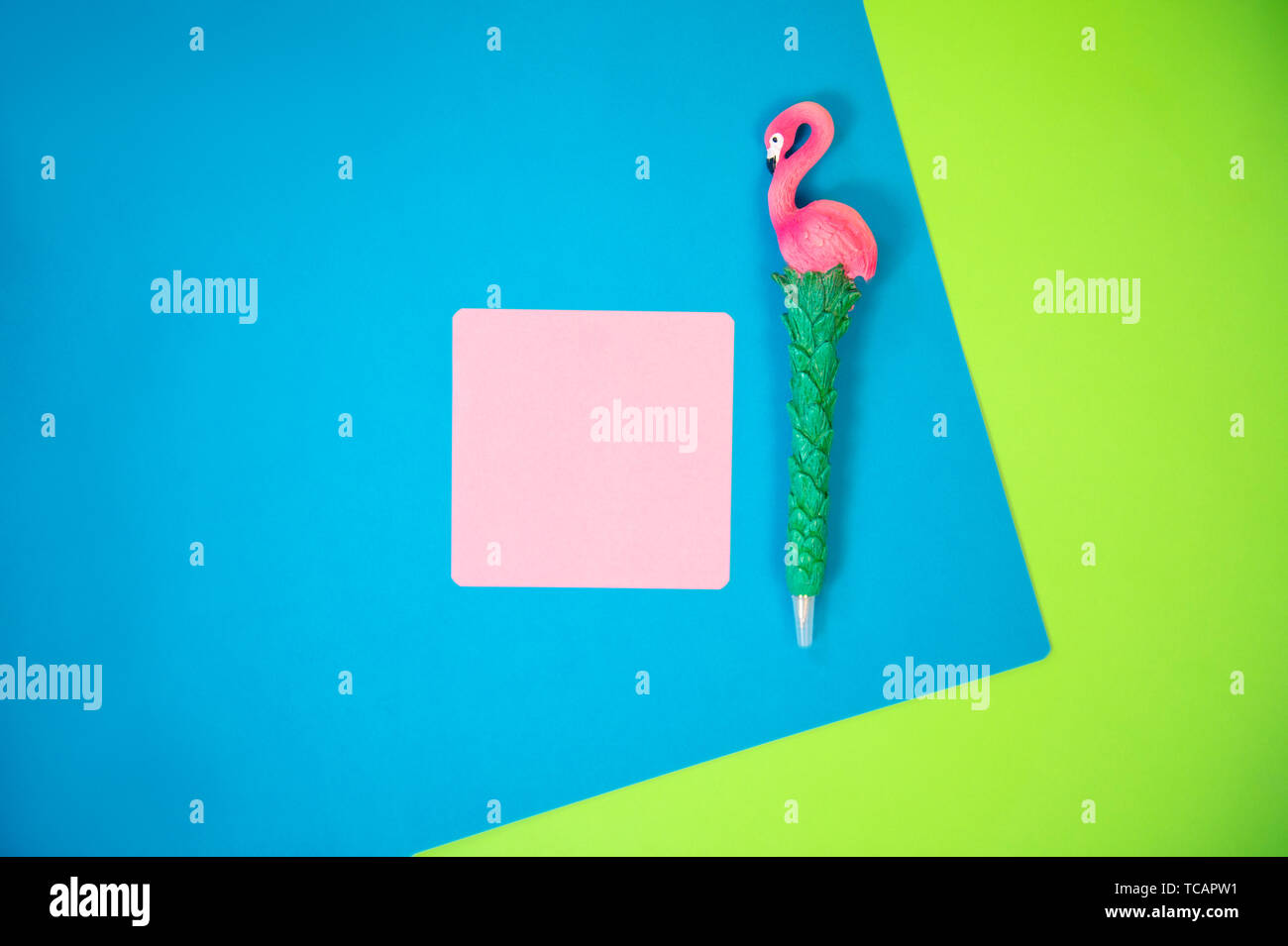 flamingo on vibrant colors background top view Stock Photo - Alamy
