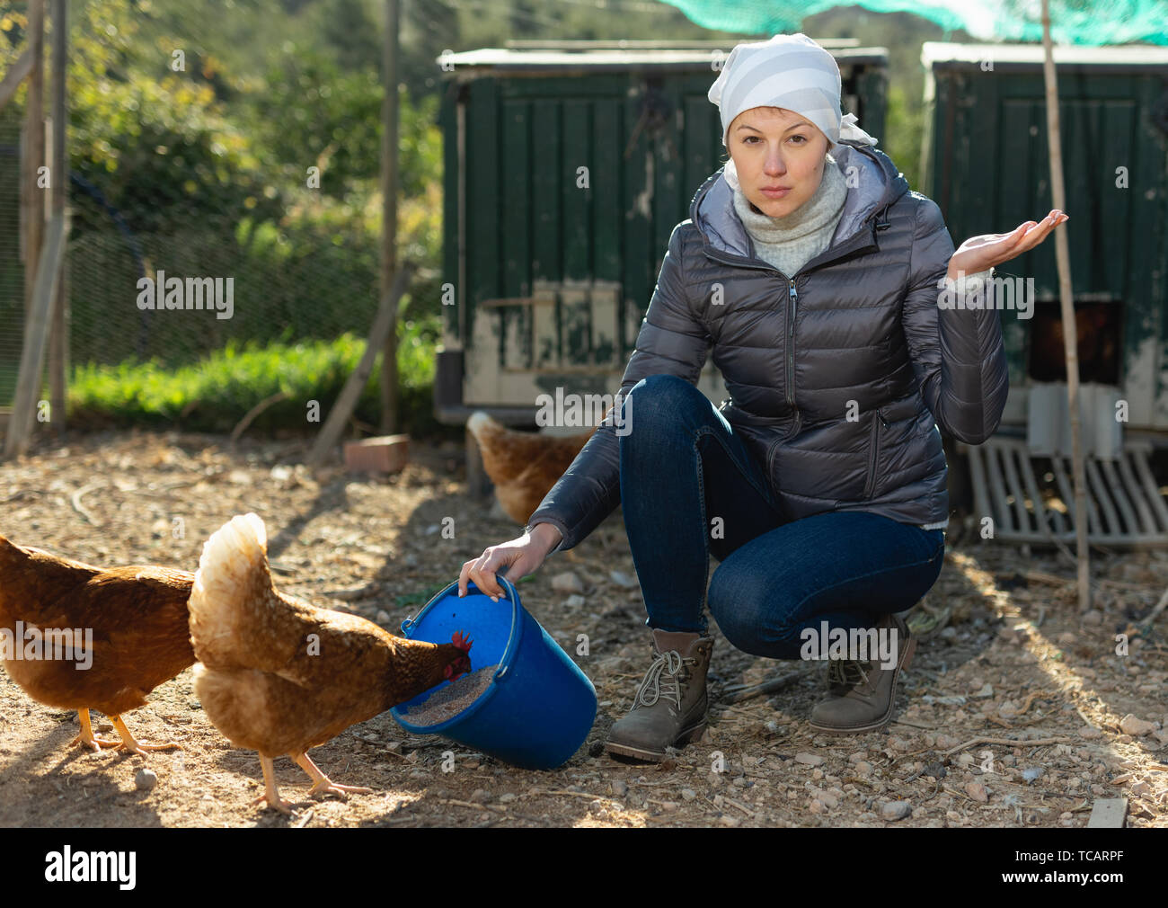 Positive young female farmer working in poultry yard of her ...