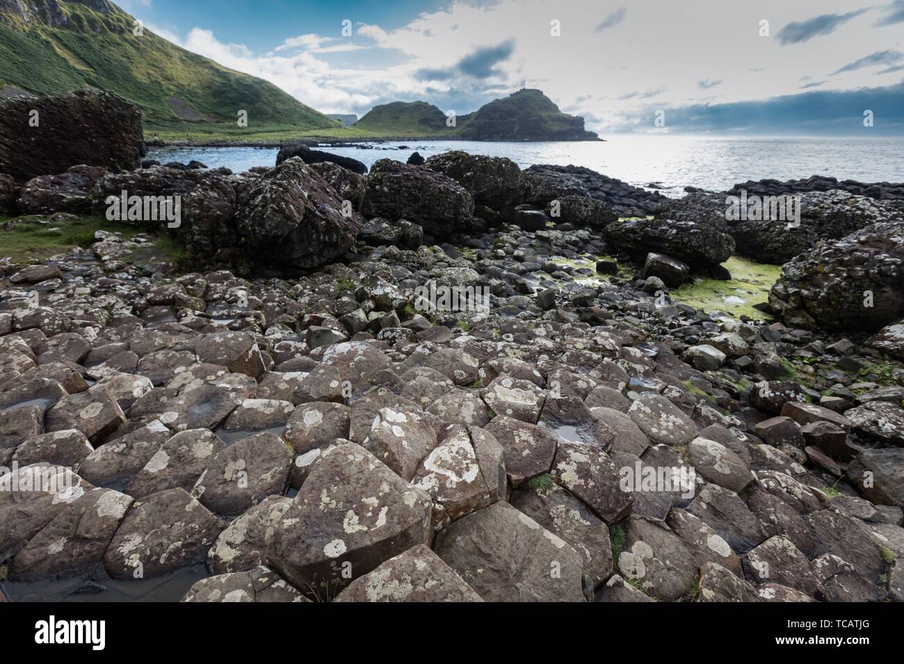 Volcanic basalt column hi-res stock photography and images - Alamy
