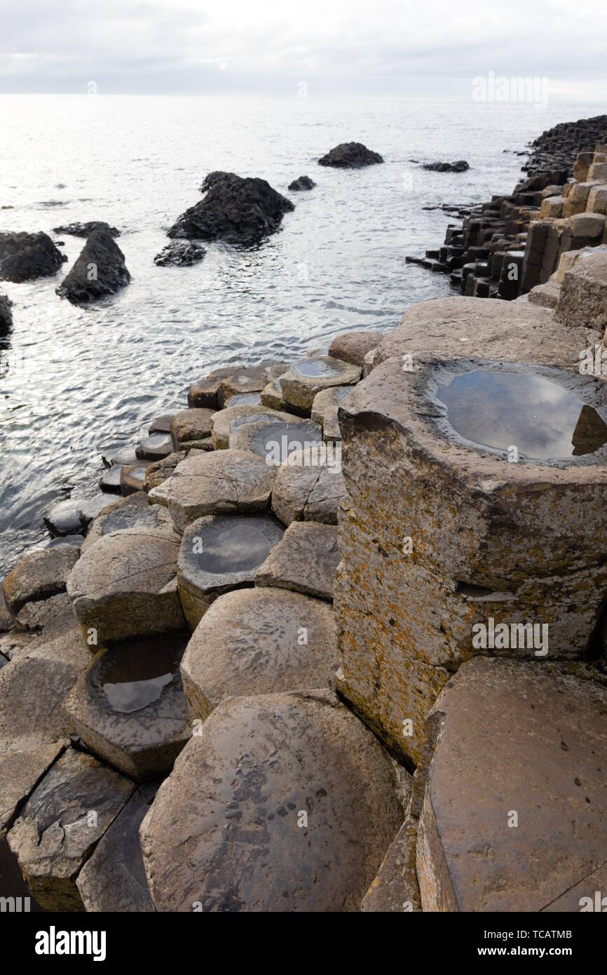 The Giant's Causeway is an area of about 40,000 interlocking basalt ...