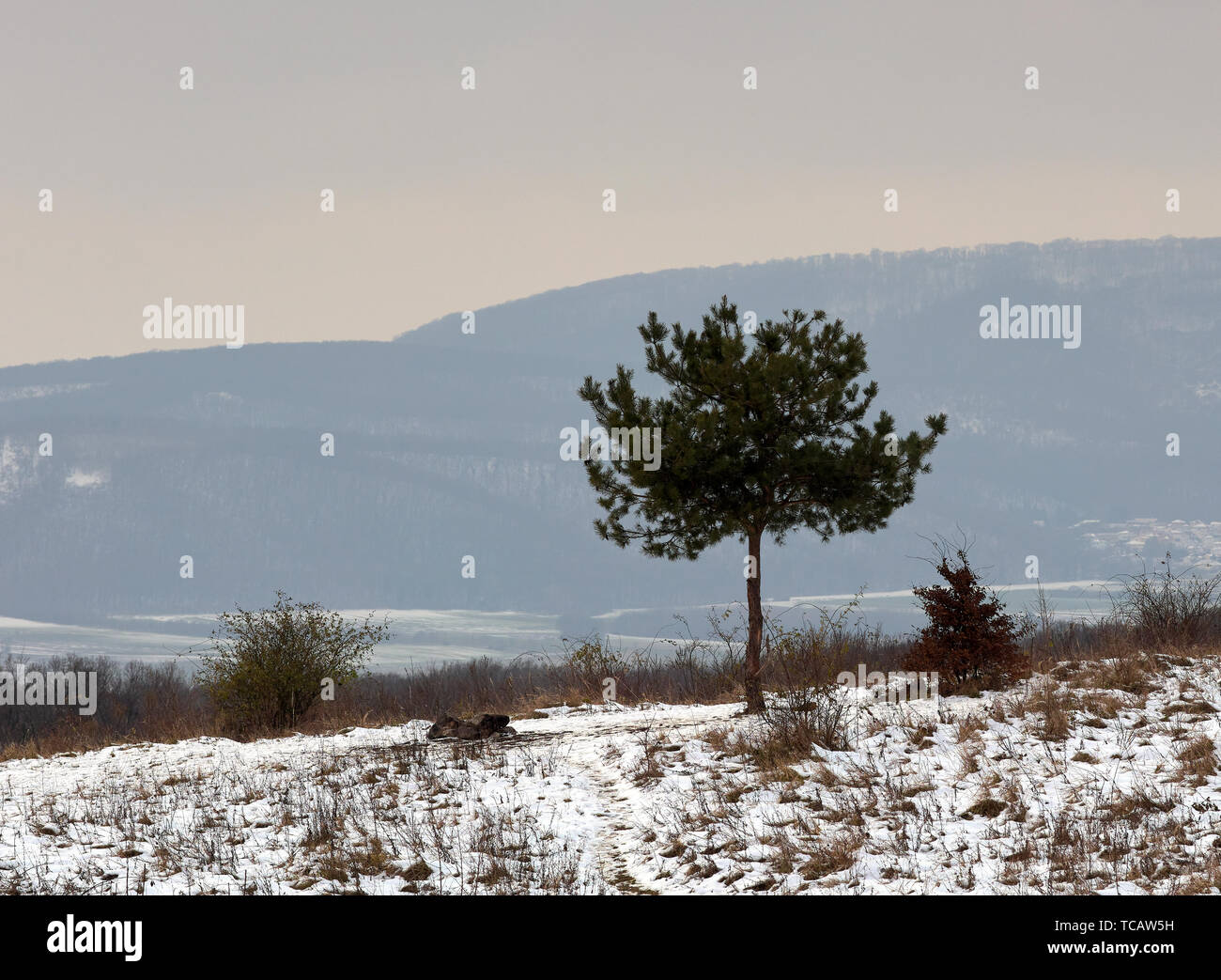 Dlhe diely hi-res stock photography and images - Alamy