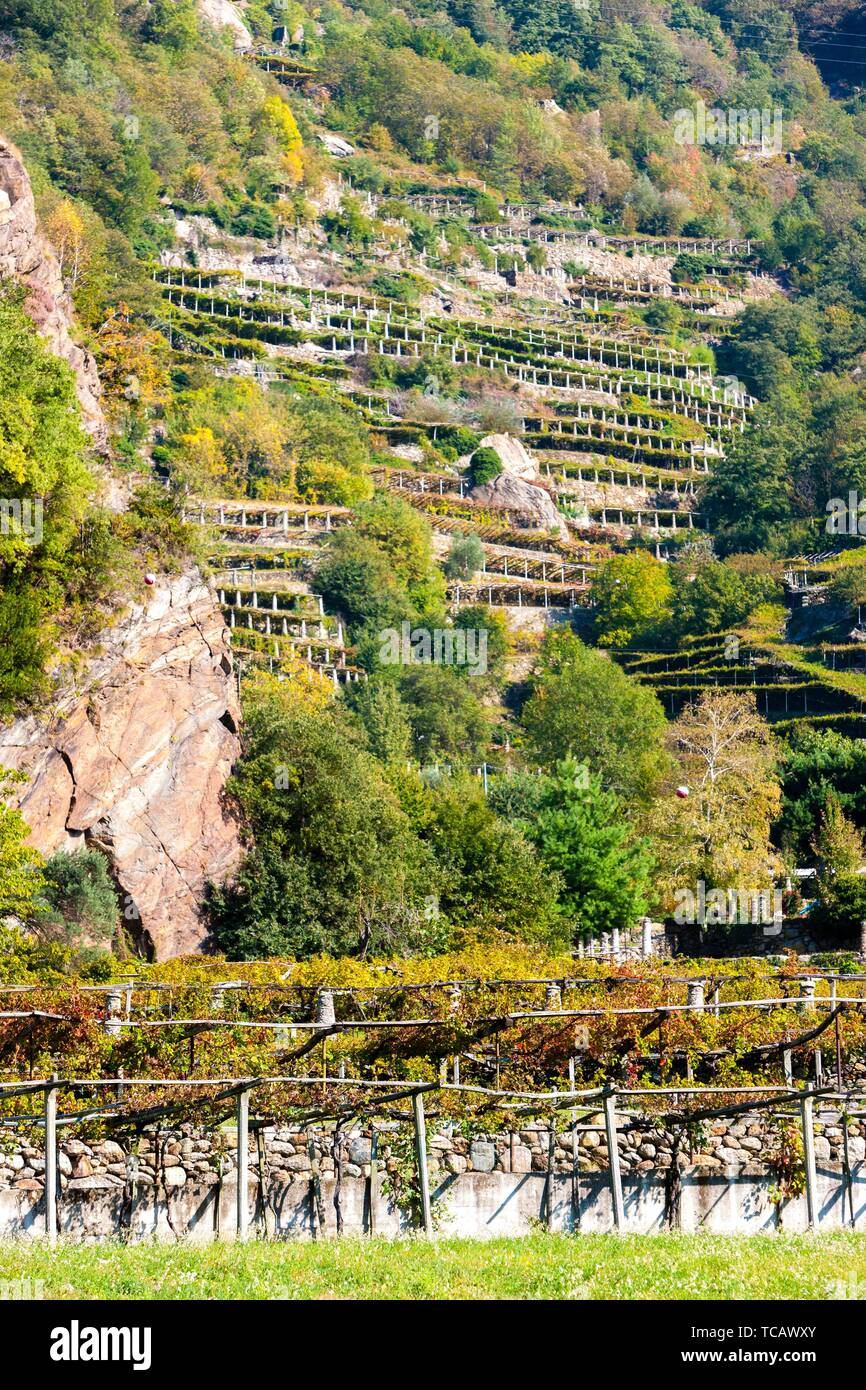 Valle D'aosta Vineyard High Resolution Stock Photography and Images - Alamy