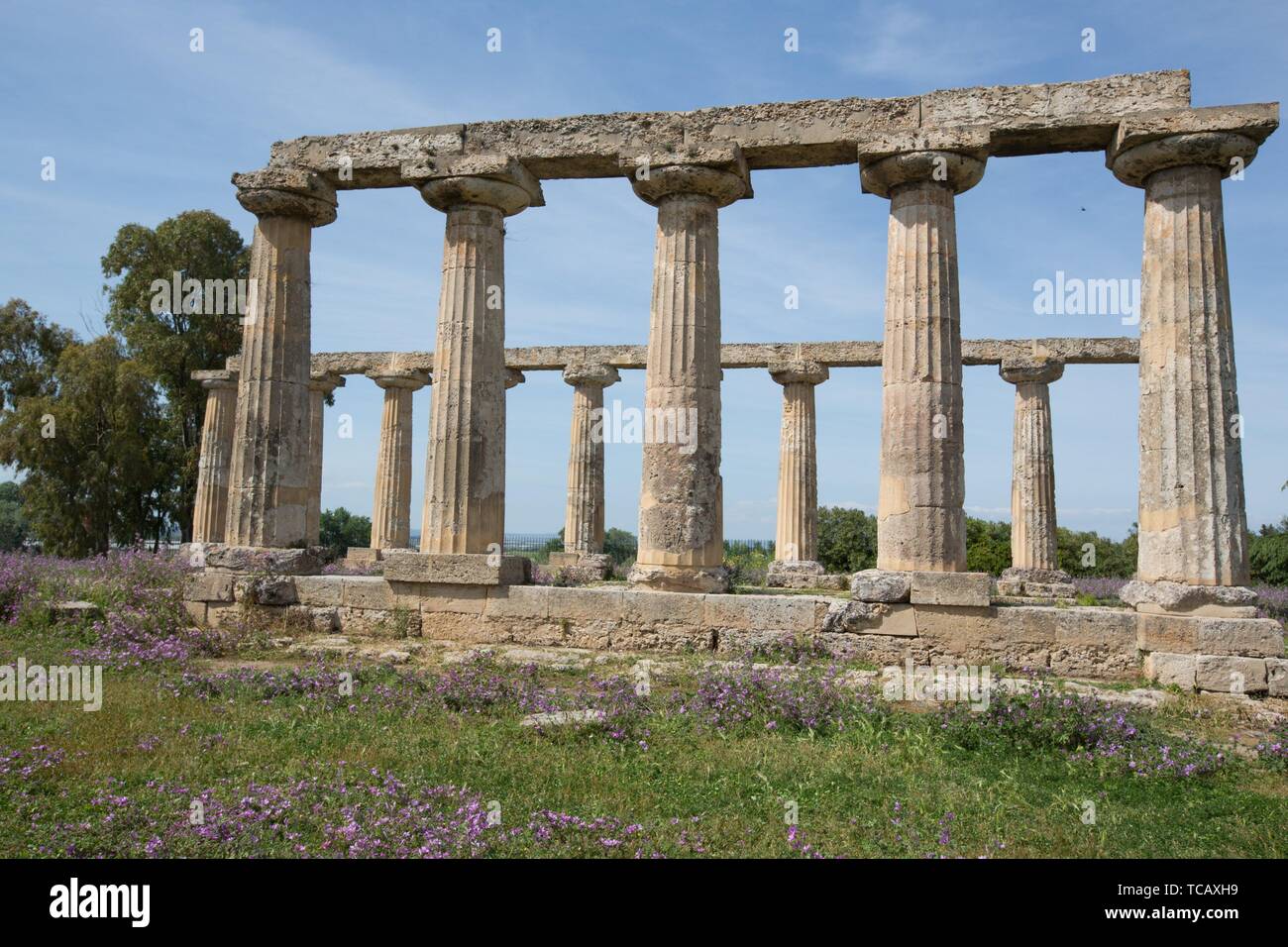 Metaponto archaeological site hi-res stock photography and images - Alamy