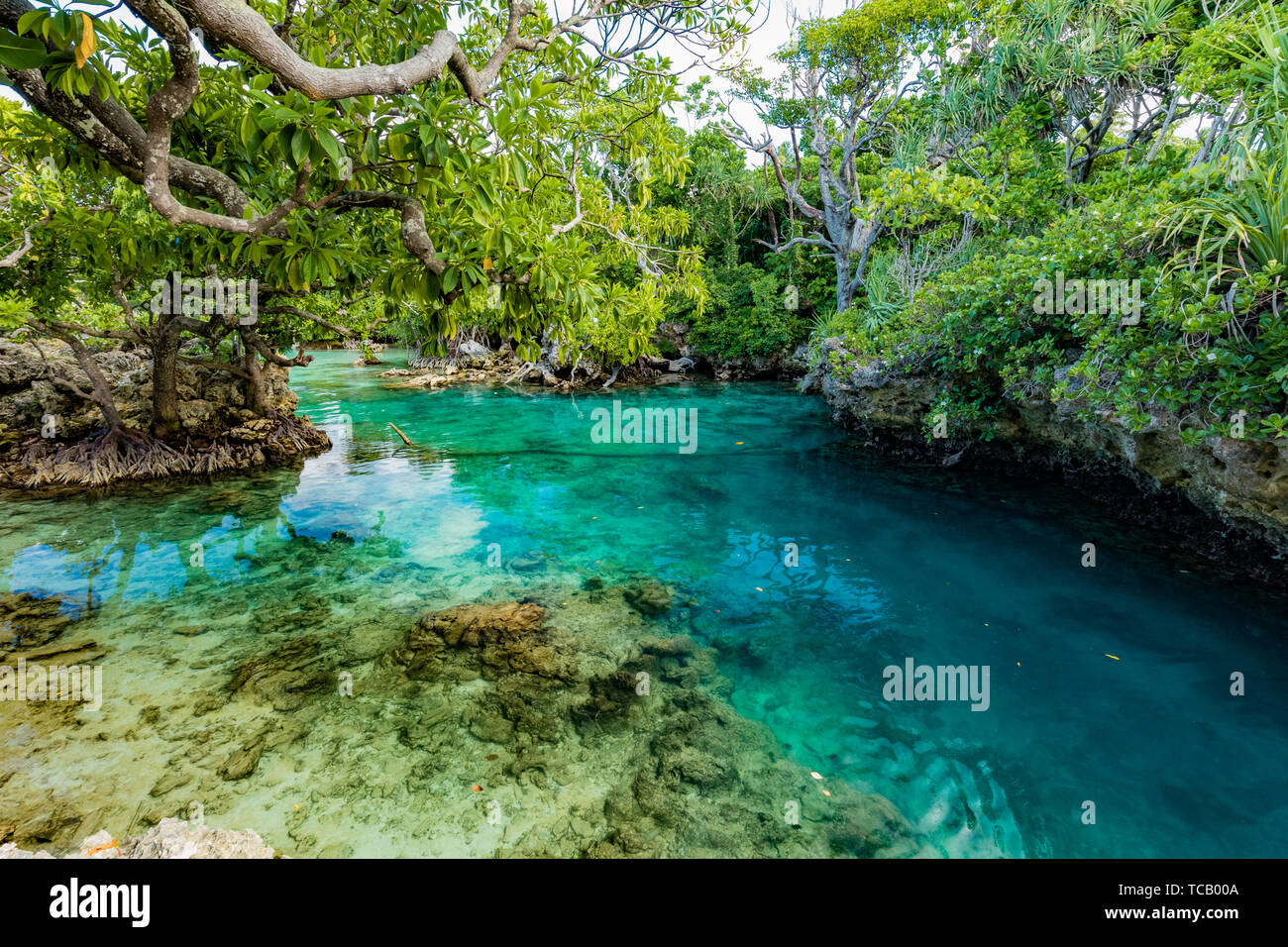 The Blue Lagoon, Port Vila, Efate, Vanuatu - famous tourist destination ...