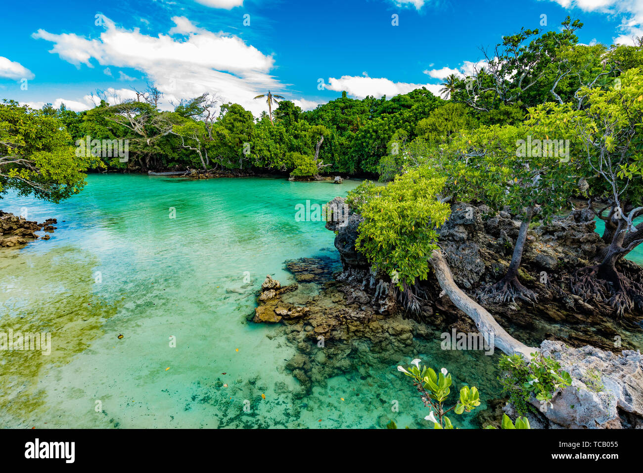 The Blue Lagoon, Port Vila, Efate, Vanuatu - famous tourist destination ...