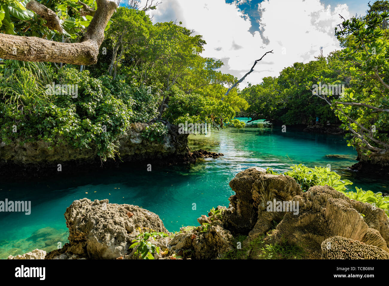 The Blue Lagoon, Port Vila, Efate, Vanuatu - famous tourist destination ...