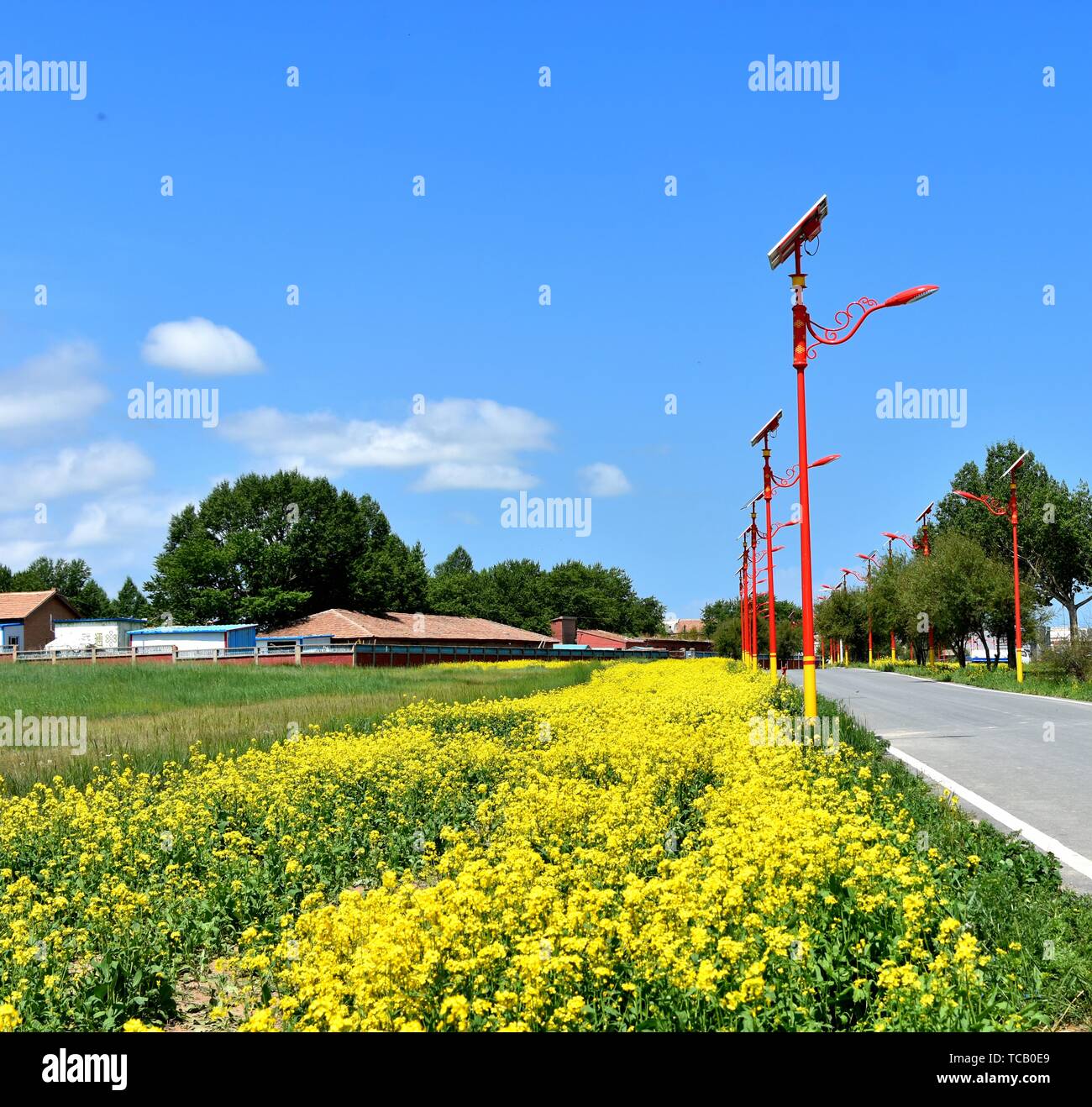 Summer daylight farms hi-res stock photography and images - Alamy