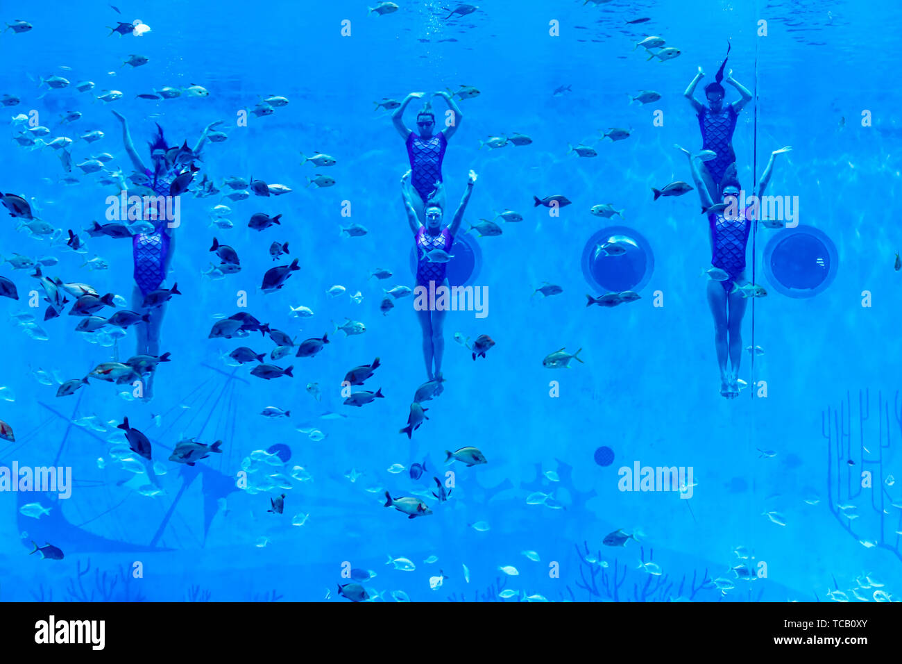 Mermaid performance at Haichang Ocean Park, Shanghai Stock Photo - Alamy