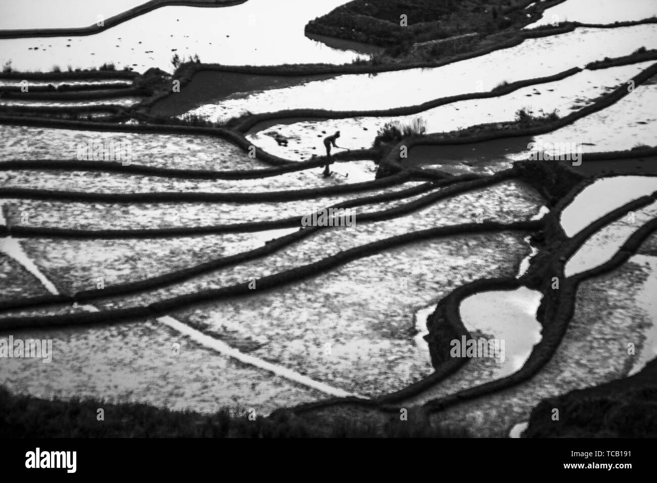 Tangkou terraces in the early morning Stock Photo - Alamy