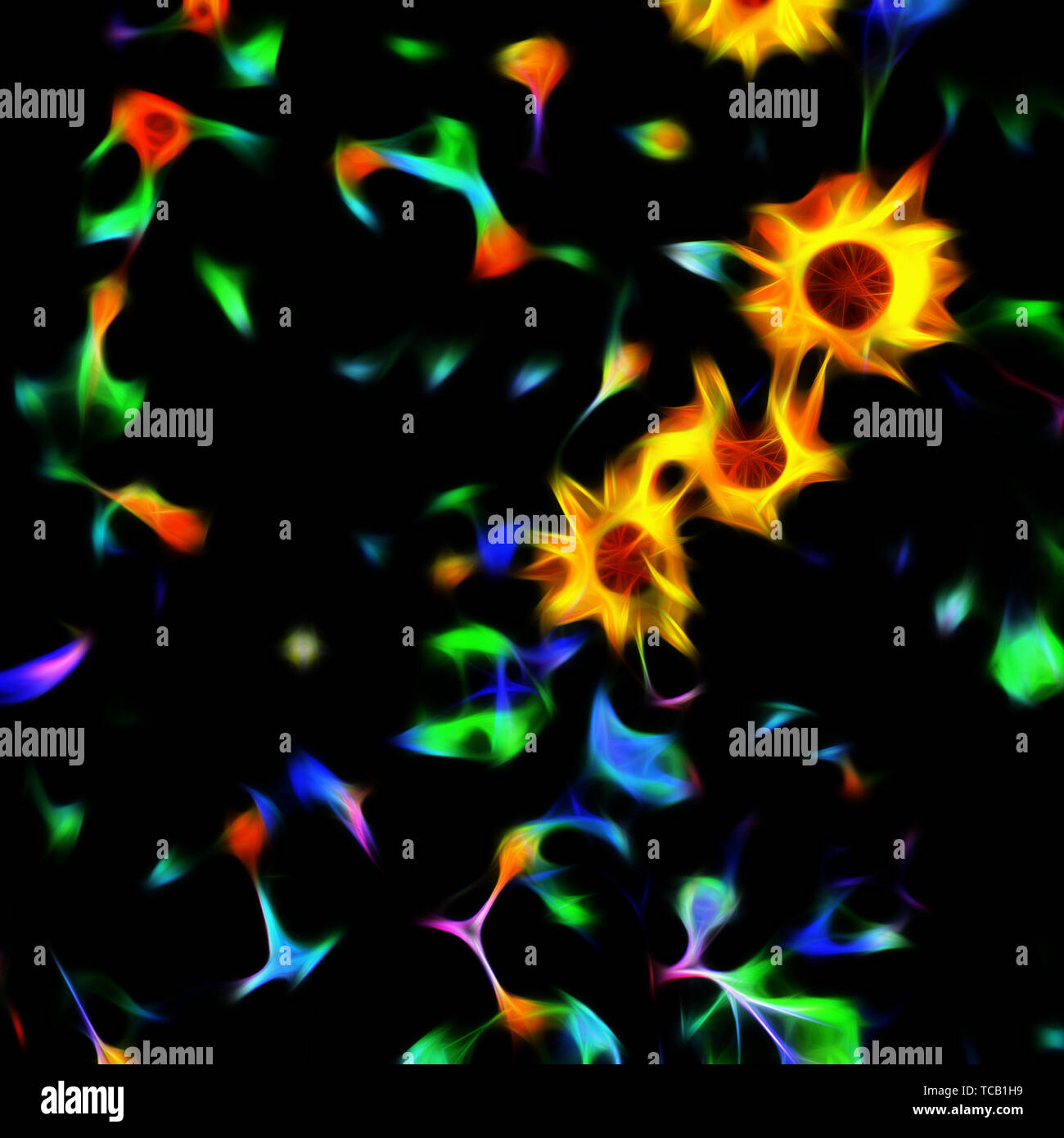 Light Painting With Flowers High Resolution Stock Photography and ...