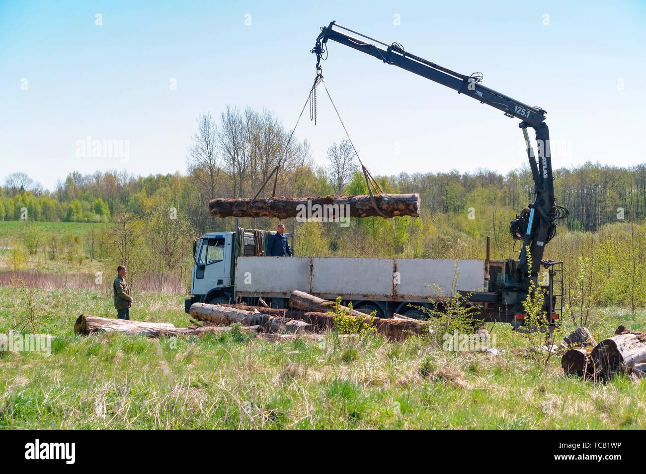 Truck hauling lumber hi-res stock photography and images - Alamy