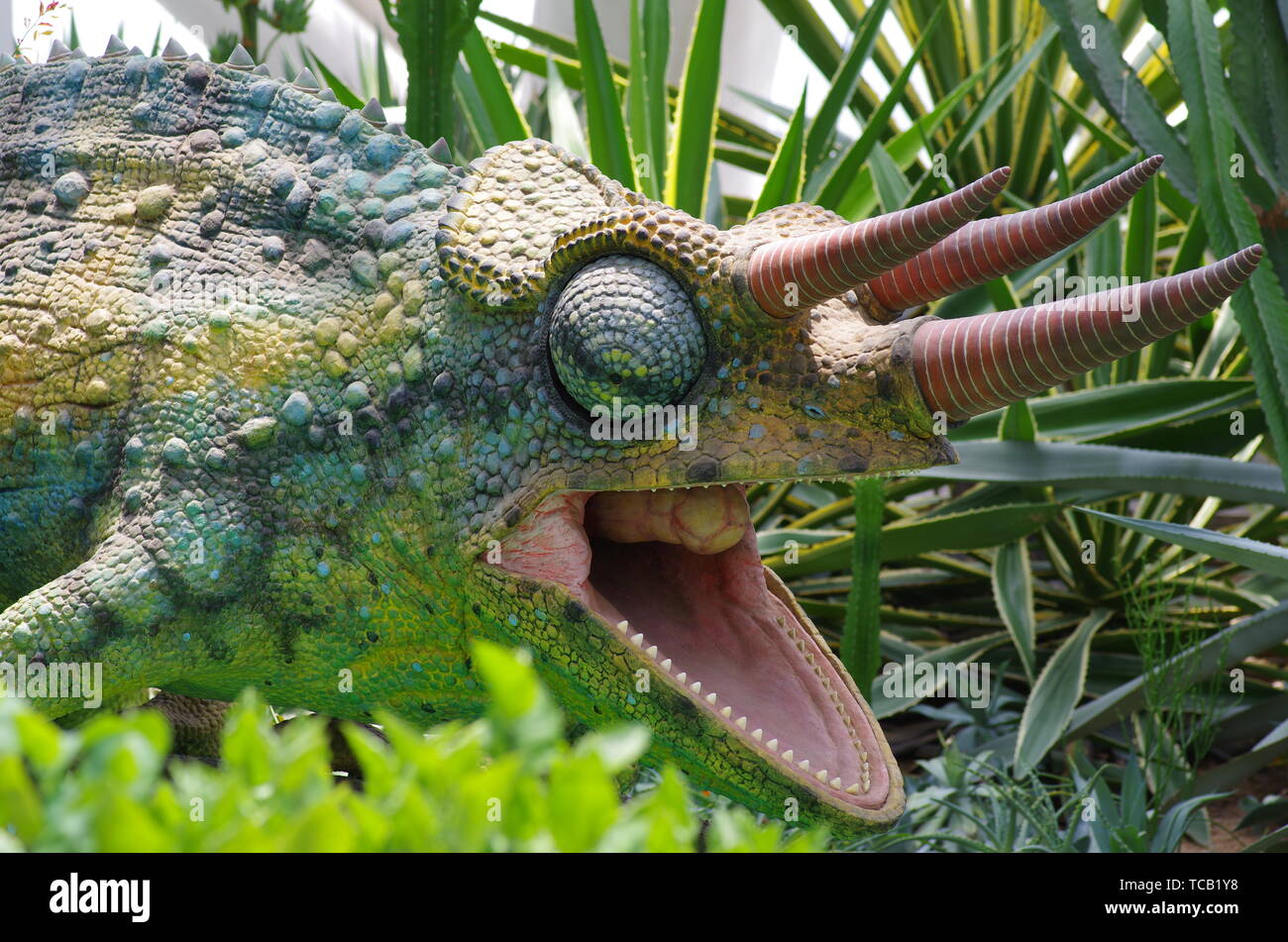 Chinese dinosaurs hi-res stock photography and images - Alamy