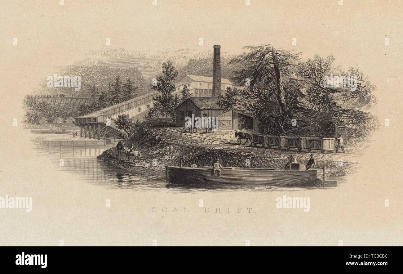 Fossil proof hi-res stock photography and images - Alamy