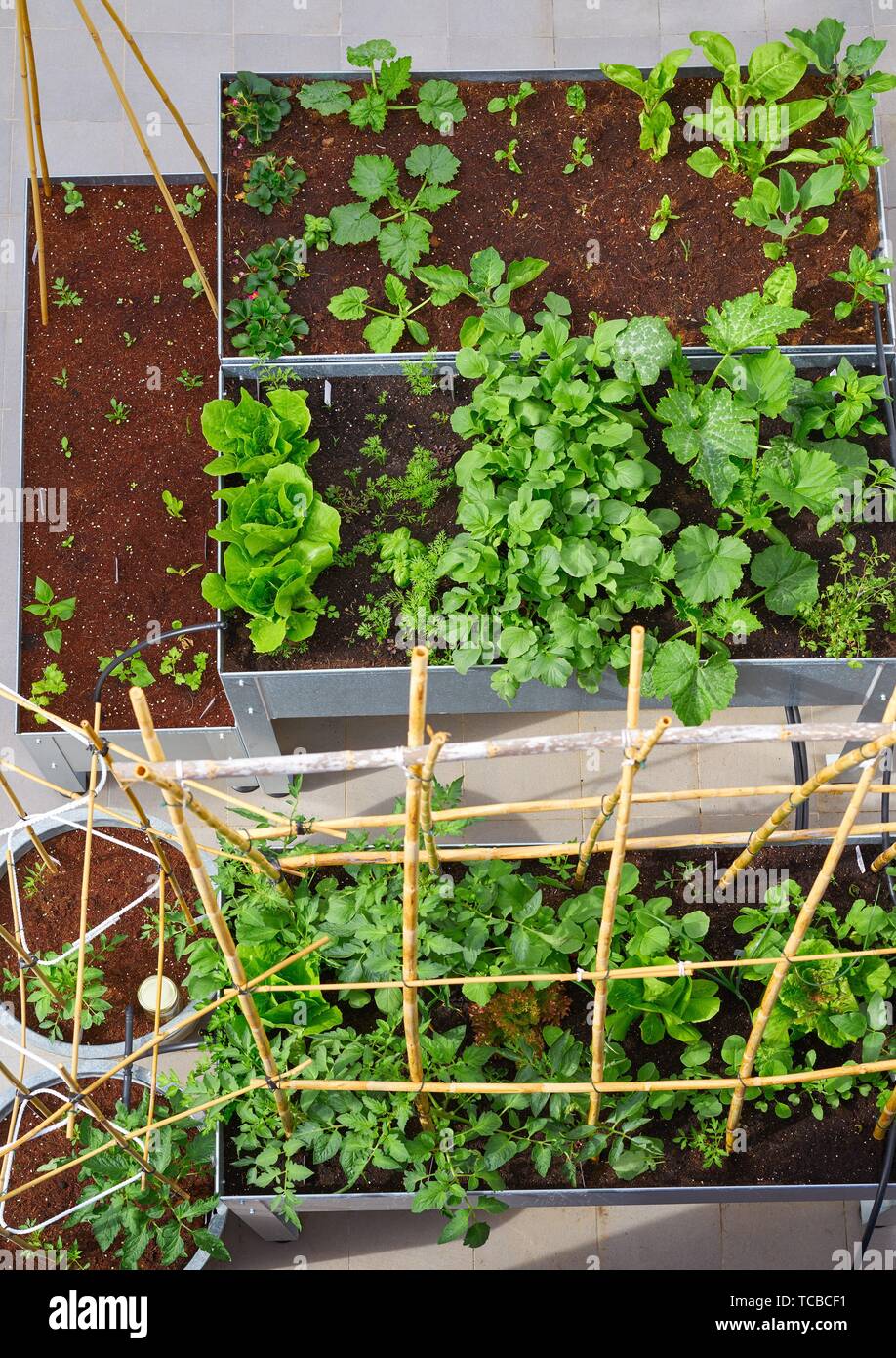 Raised table hi-res stock photography and images - Alamy