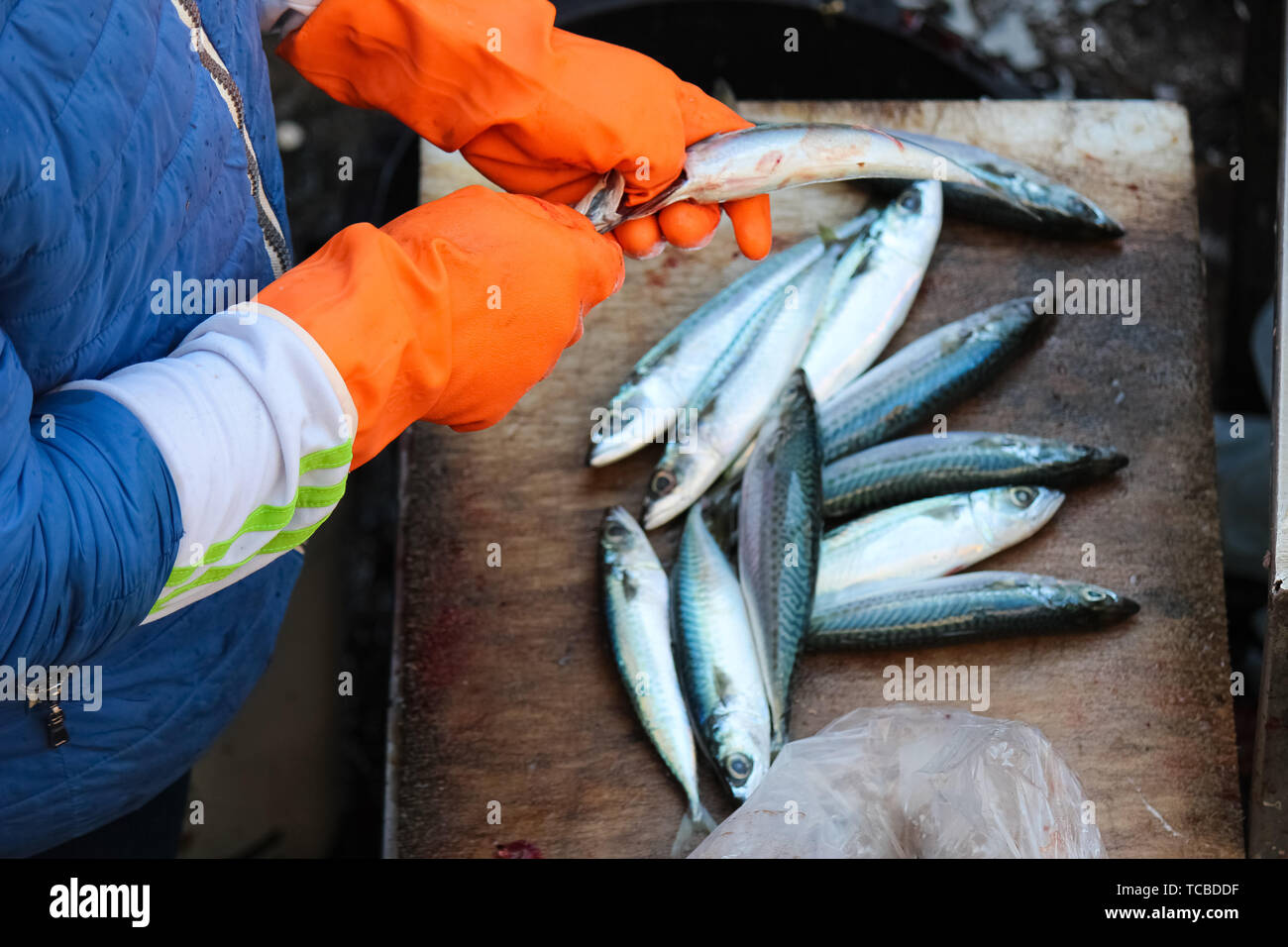 Fish processing hi-res stock photography and images - Alamy