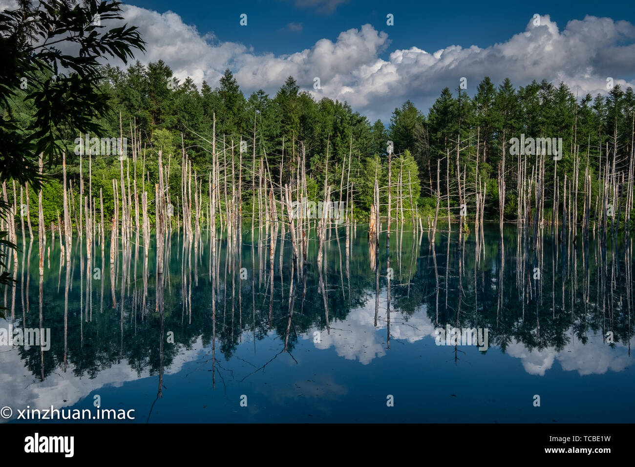 Qingchi hi-res stock photography and images - Alamy