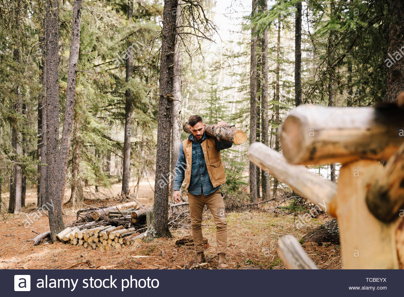 Walking holding looking away tree hi-res stock photography and images ...