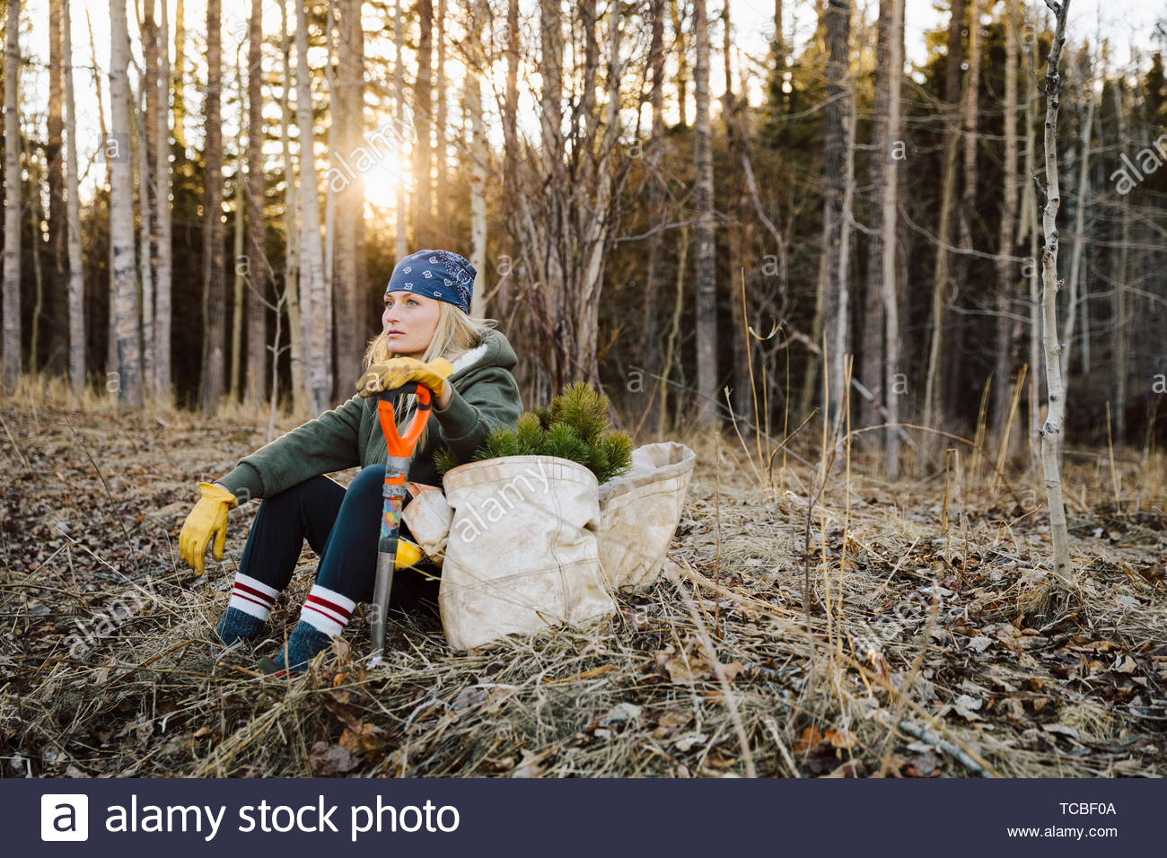 Women planting trees hi-res stock photography and images - Alamy