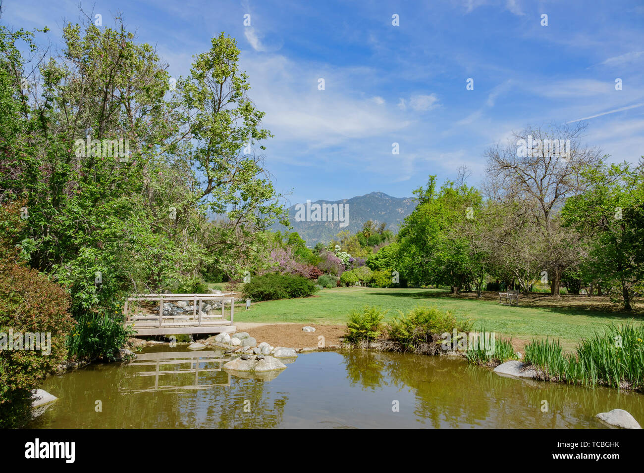 Nature landscape with mountain and pond view at Los Angeles, California ...