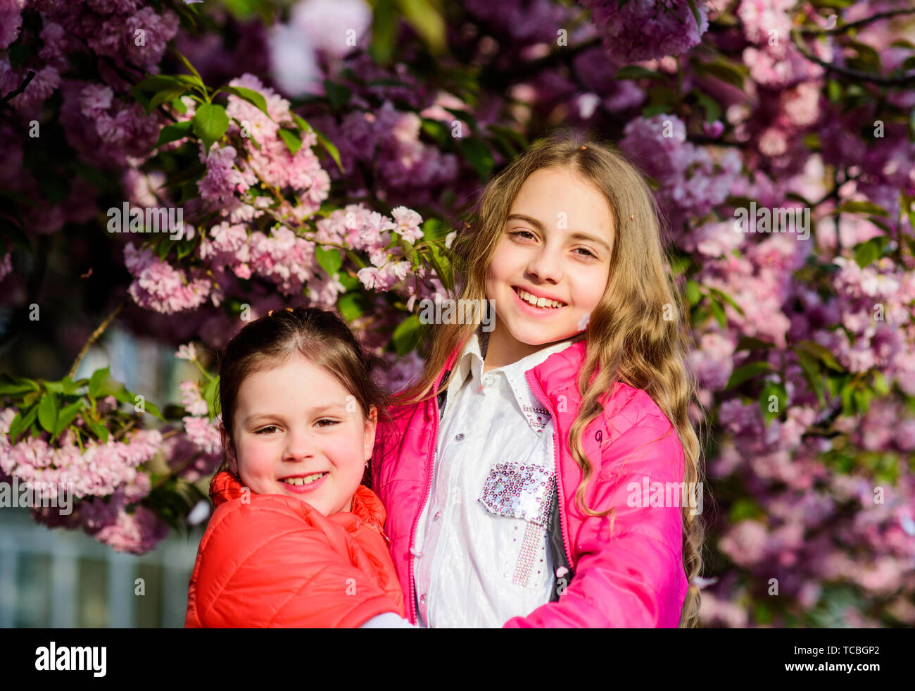 Pink is our favorite. Kids pink flowers of sakura tree background. Kids ...