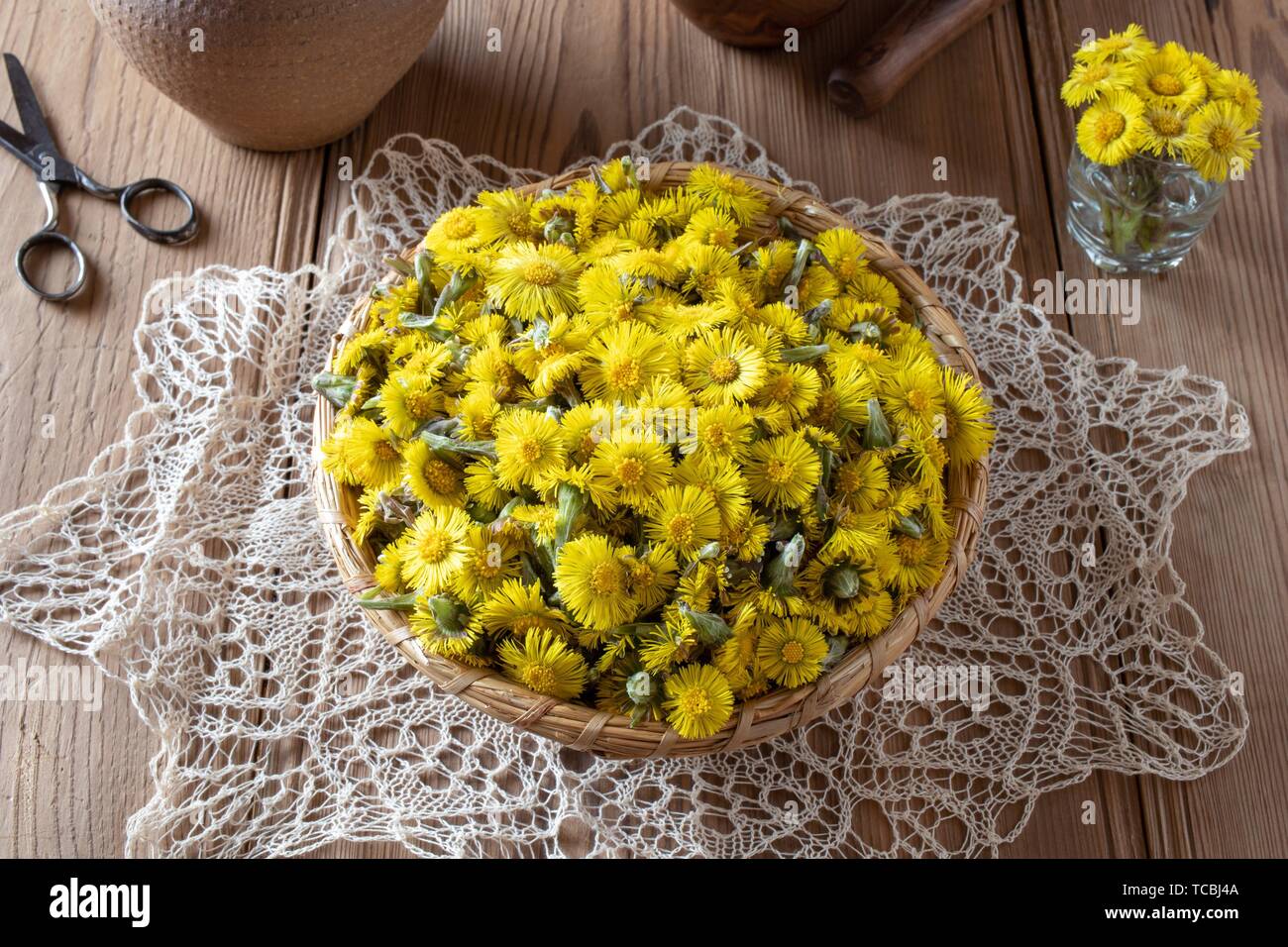 Coltsfoot edible hi-res stock photography and images - Alamy
